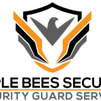 Triple Bees Security